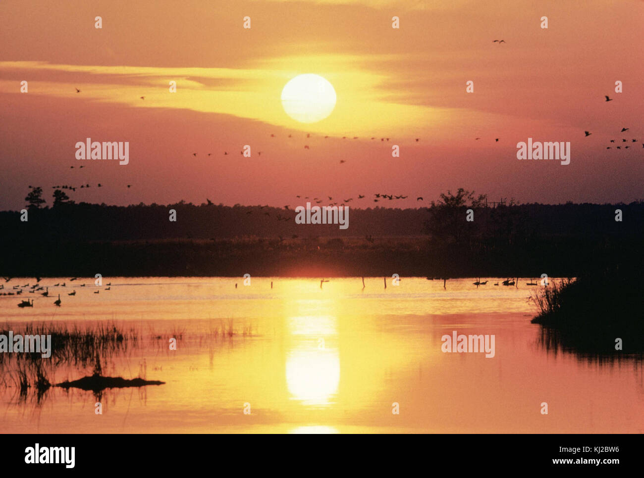 Sunset over lake Stock Photo - Alamy