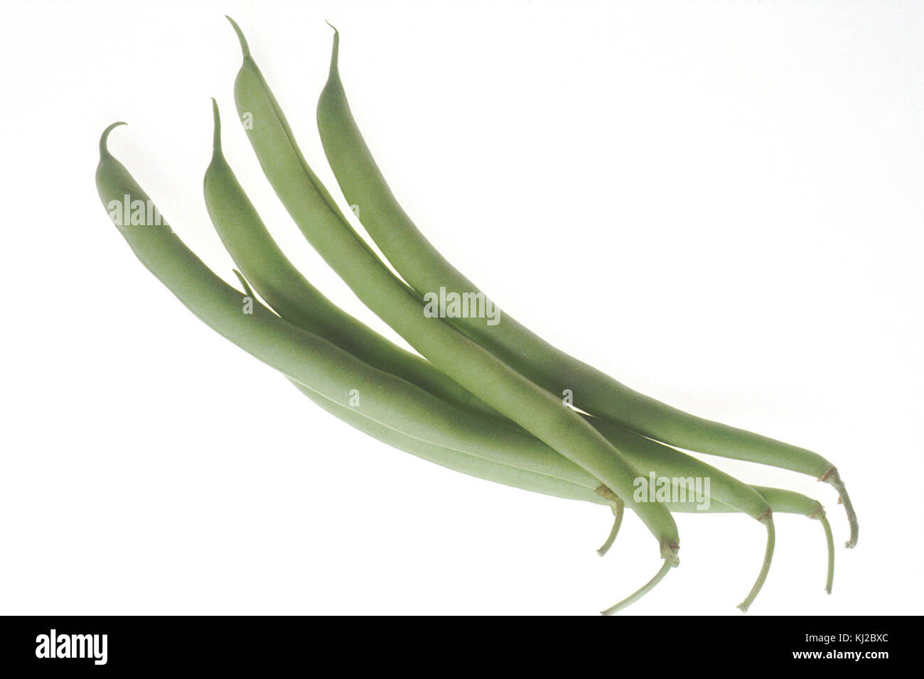 String beans illustration hi-res stock photography and images - Alamy