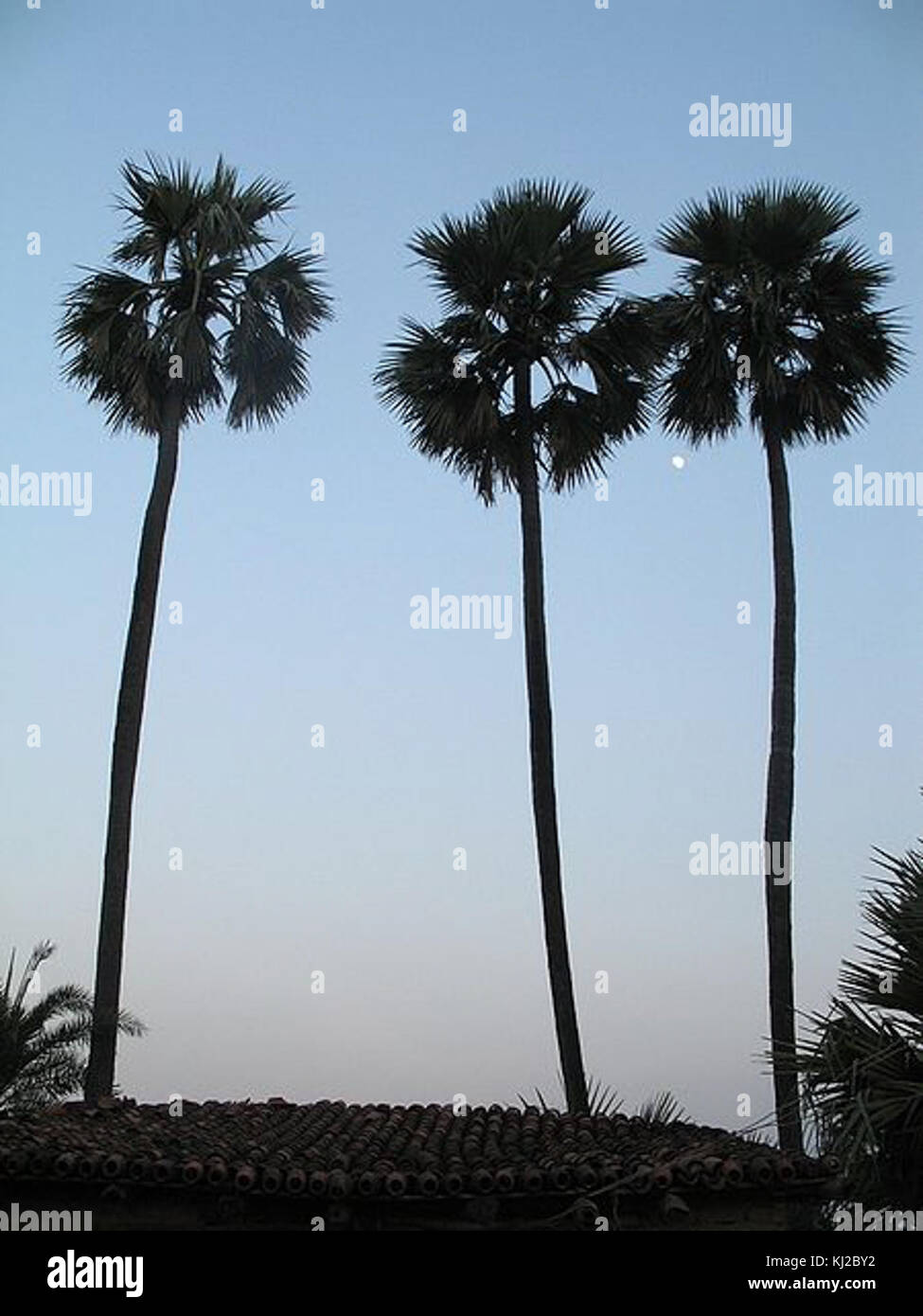 Taar ka per Stock Photo - Alamy