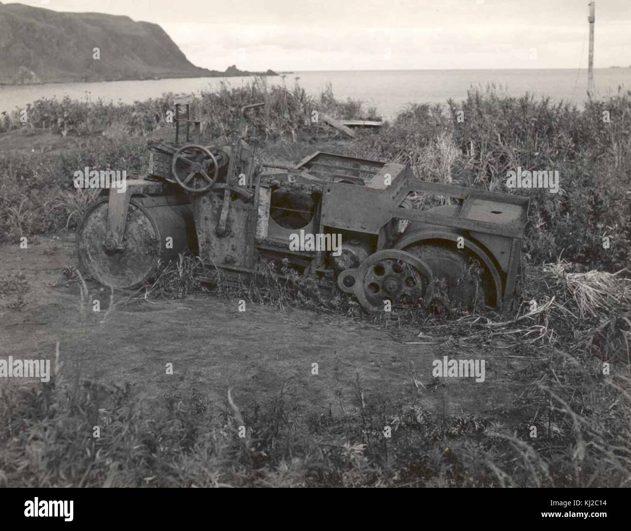 Old rusty car abandoned overgrown with vegetation Stock Photo - Alamy
