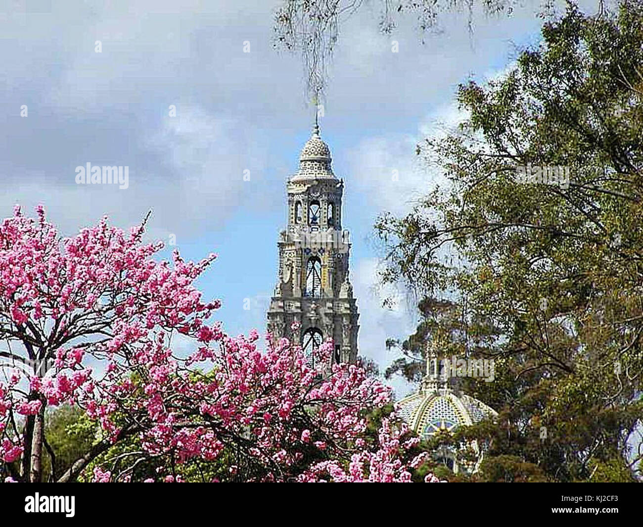 Horticulturaldesign hi-res stock photography and images - Alamy