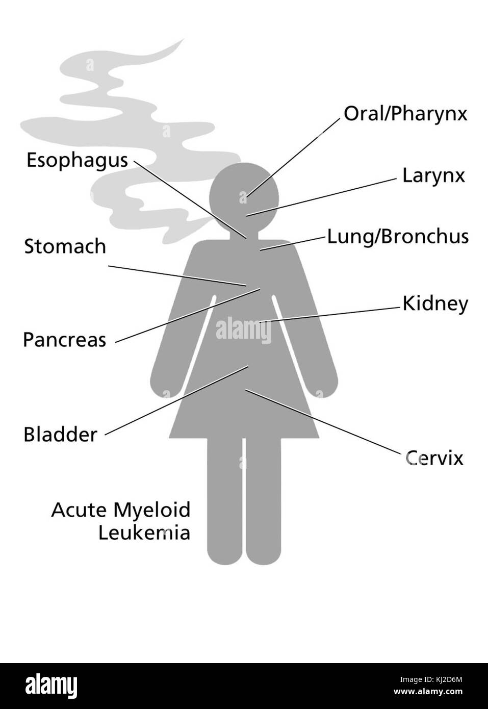 Initiatives symbol Cut Out Stock Images & Pictures - Alamy