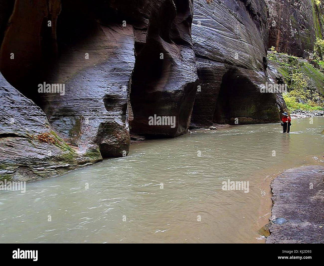 Zion narrows streams hiking wading Stock Photo - Alamy