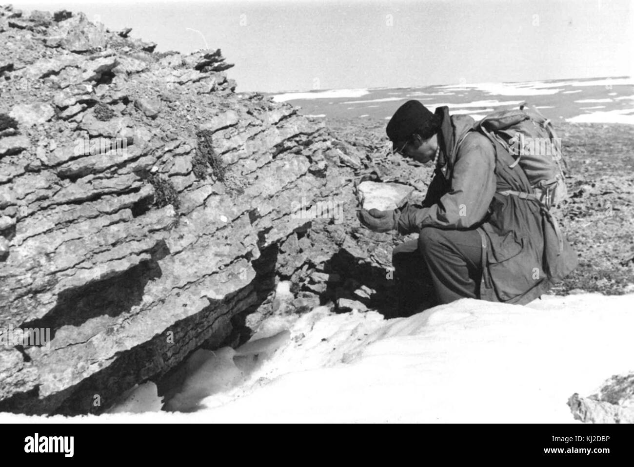 This geological outcrop exposes Paleozoic-era limestone, a rock ...