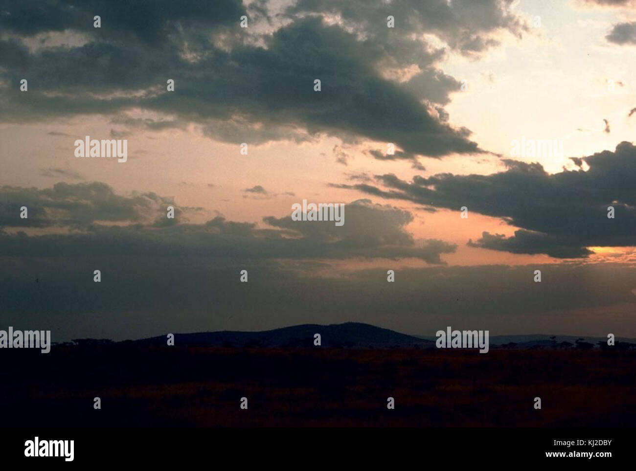 African sunset dusk Stock Photo - Alamy