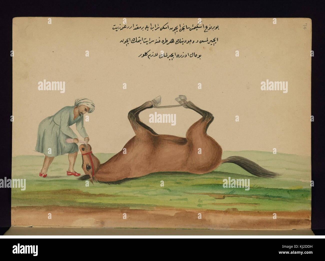 Ahmed 'Ata Tayyarzade - Healing a Horse Suffering from Colic with Old ...