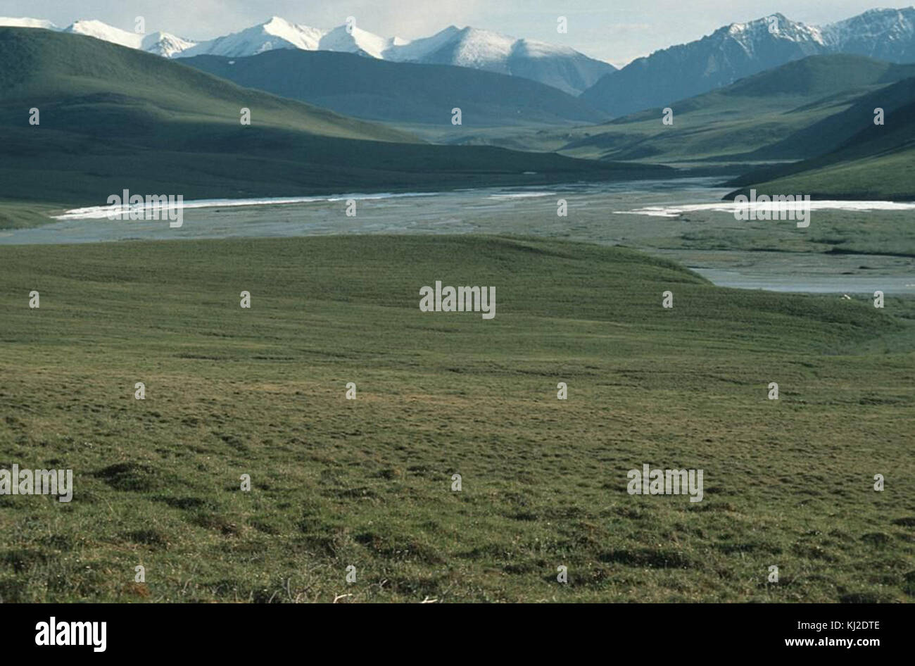 Arctic national wildlife refuge Alaska Stock Photo - Alamy