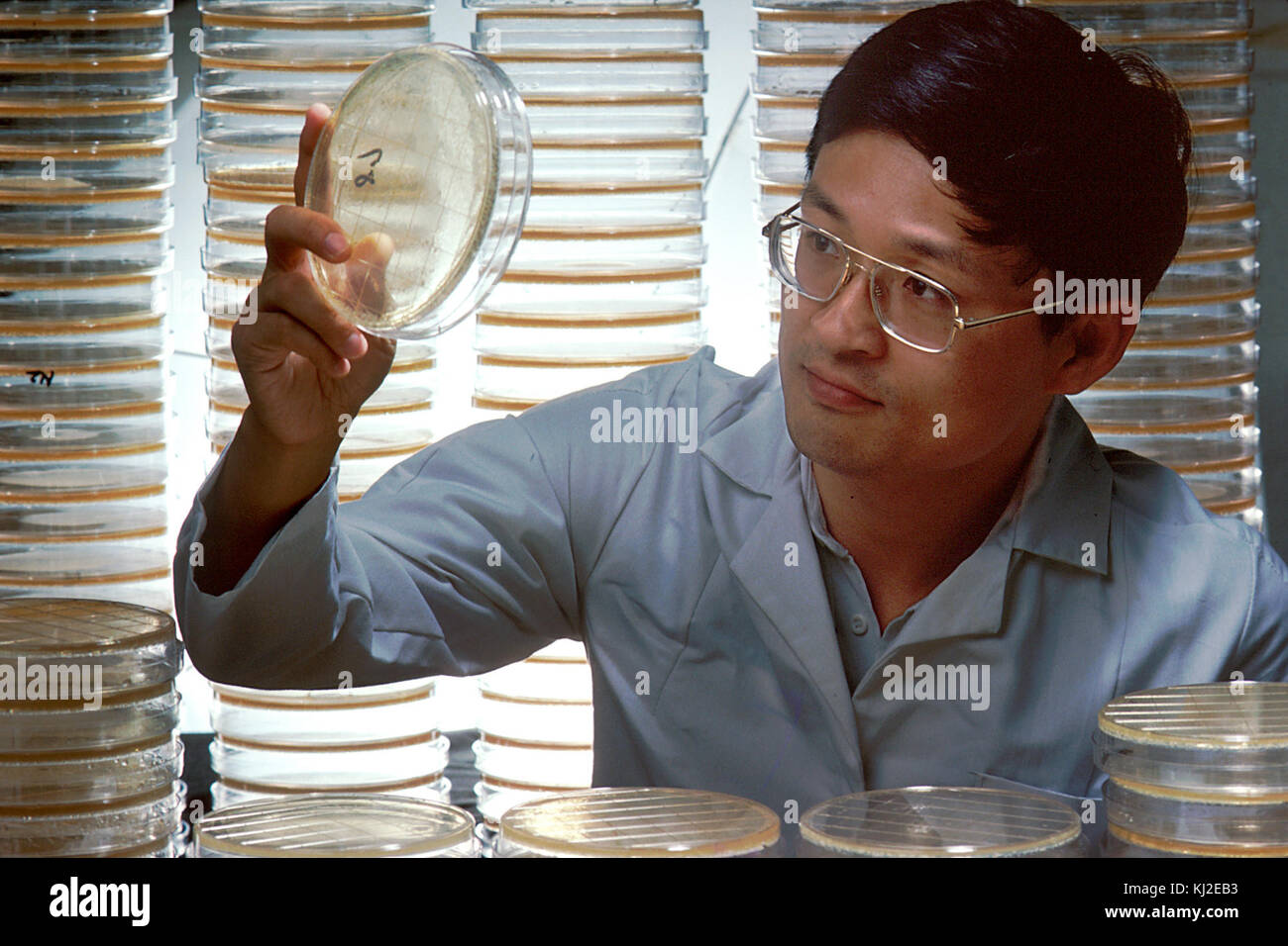 Agar plates (1 Stock Photo - Alamy