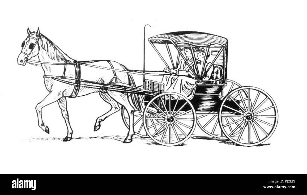 Buggy horse Cut Out Stock Images & Pictures - Alamy