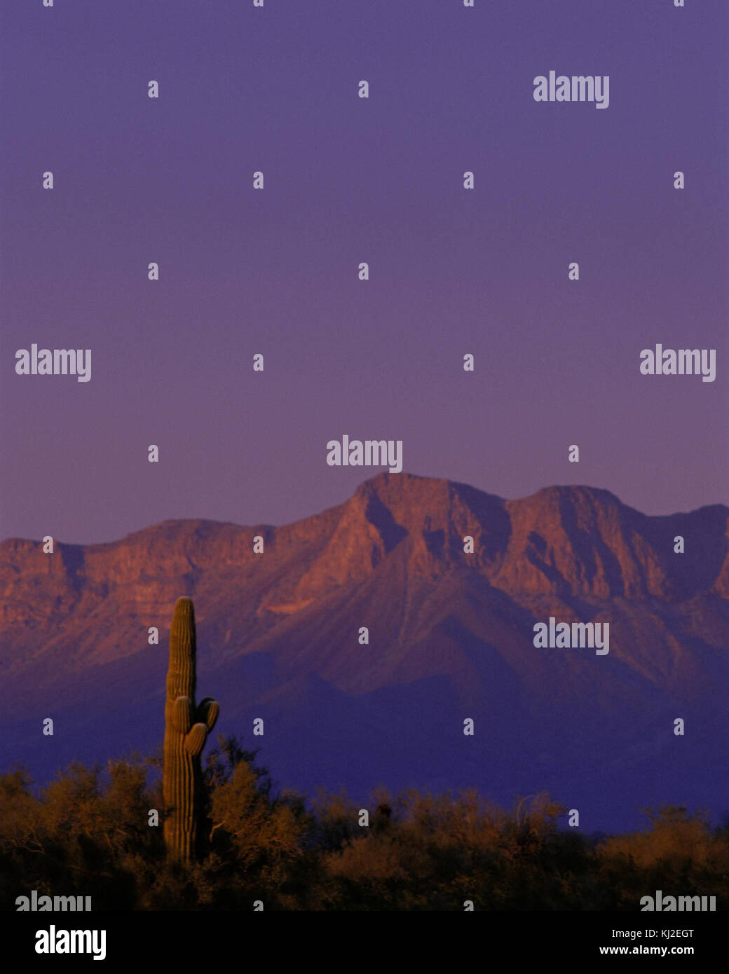 Cabeza prieta national wildlife refuge hi-res stock photography and ...