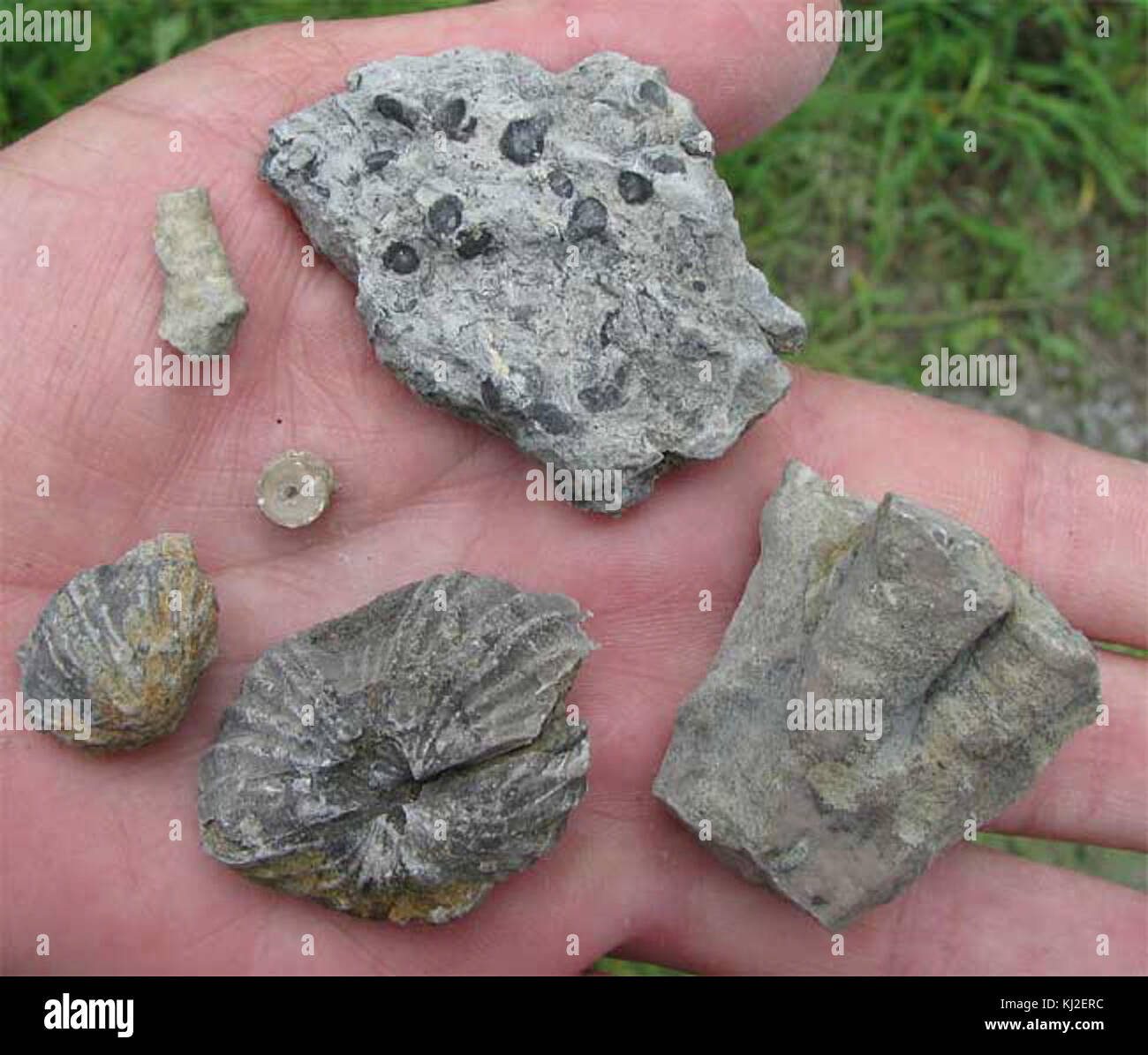 Central tennessee hi-res stock photography and images - Alamy