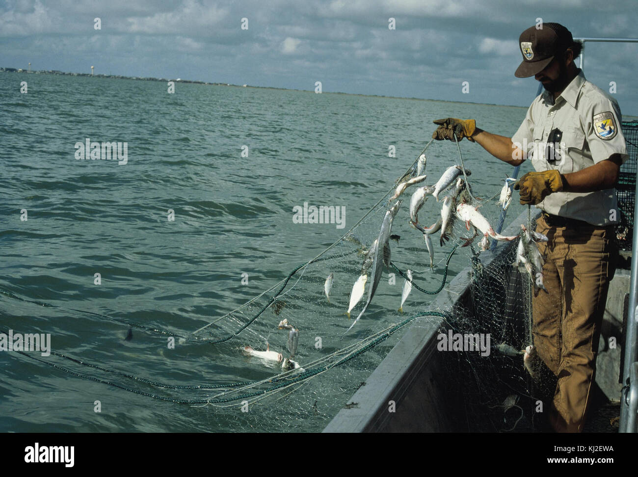 Checking gill nets Stock Photo - Alamy