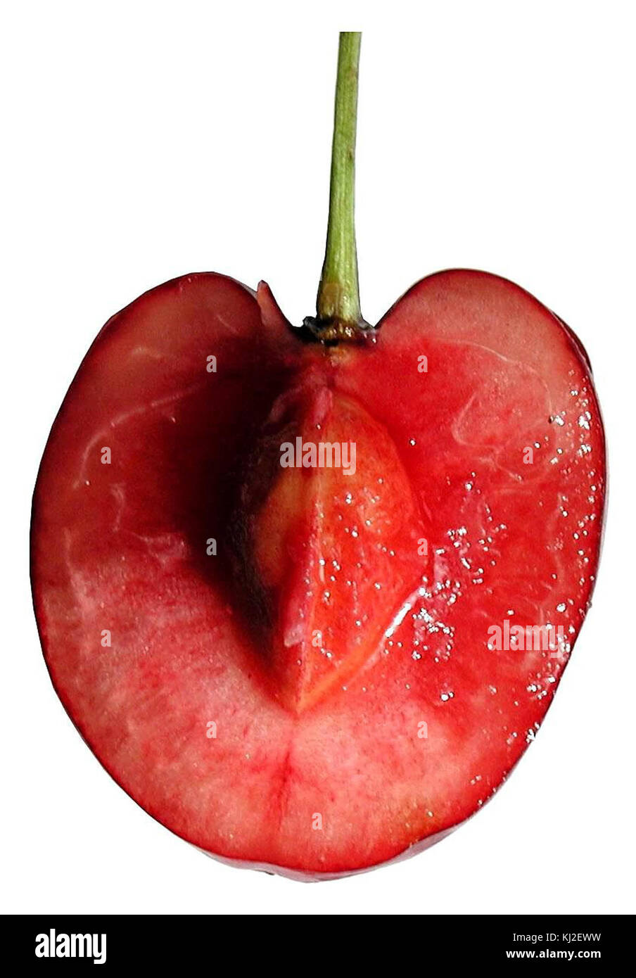 Natural texture highlighting Cut Out Stock Images & Pictures - Alamy