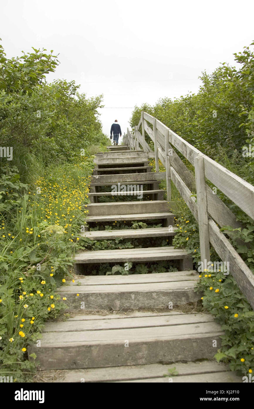 People climb the wooden stairs overgrown with vegetation Stock Photo ...