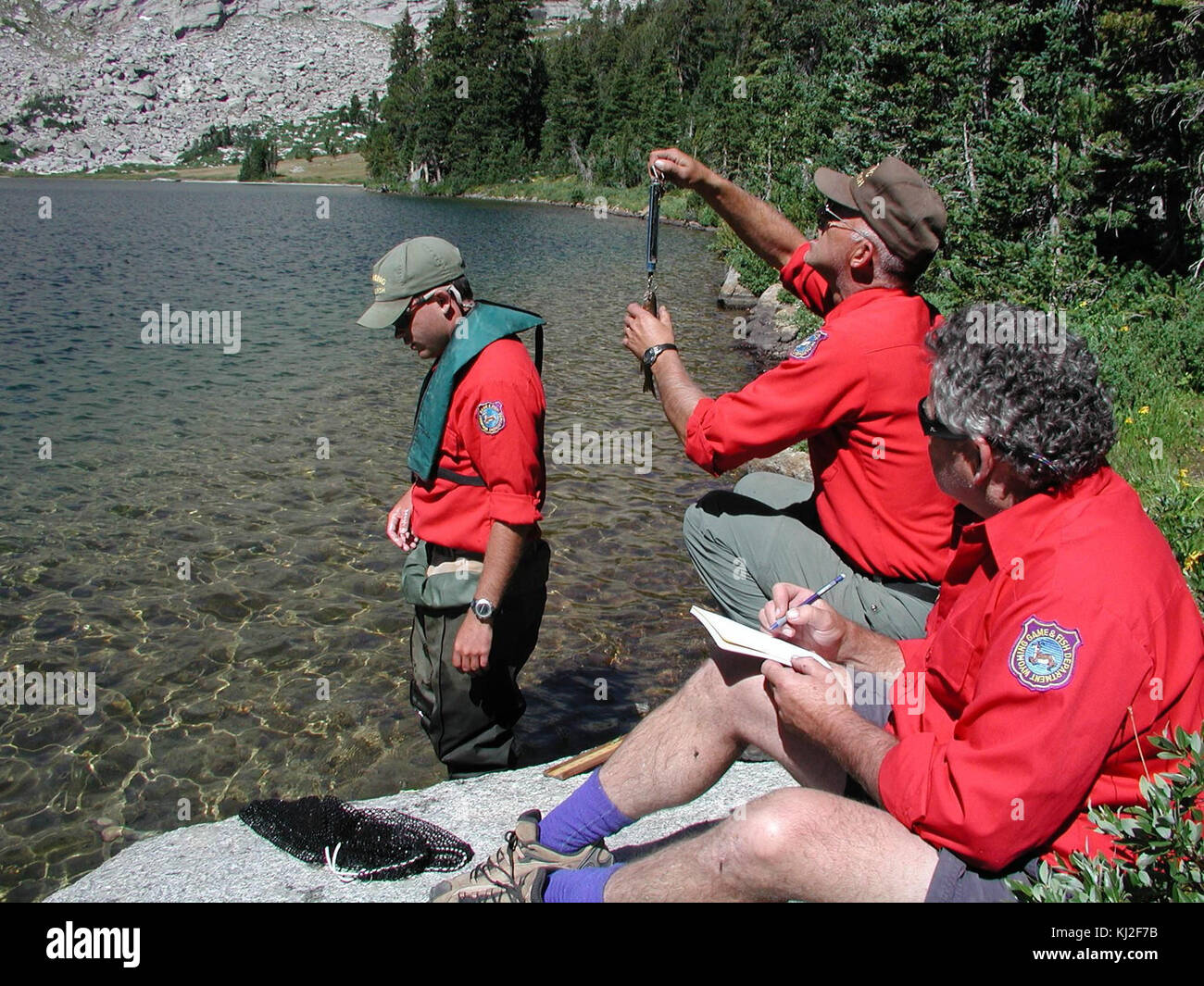 Biologists measuring fish during a population survey Stock Photo - Alamy