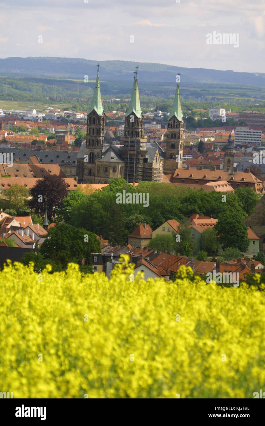Bamberger Dom Rapsfeld Stock Photo - Alamy