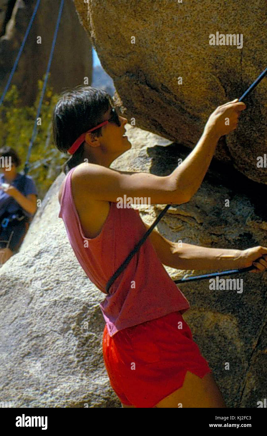 Joshua tree illustration hi-res stock photography and images - Alamy