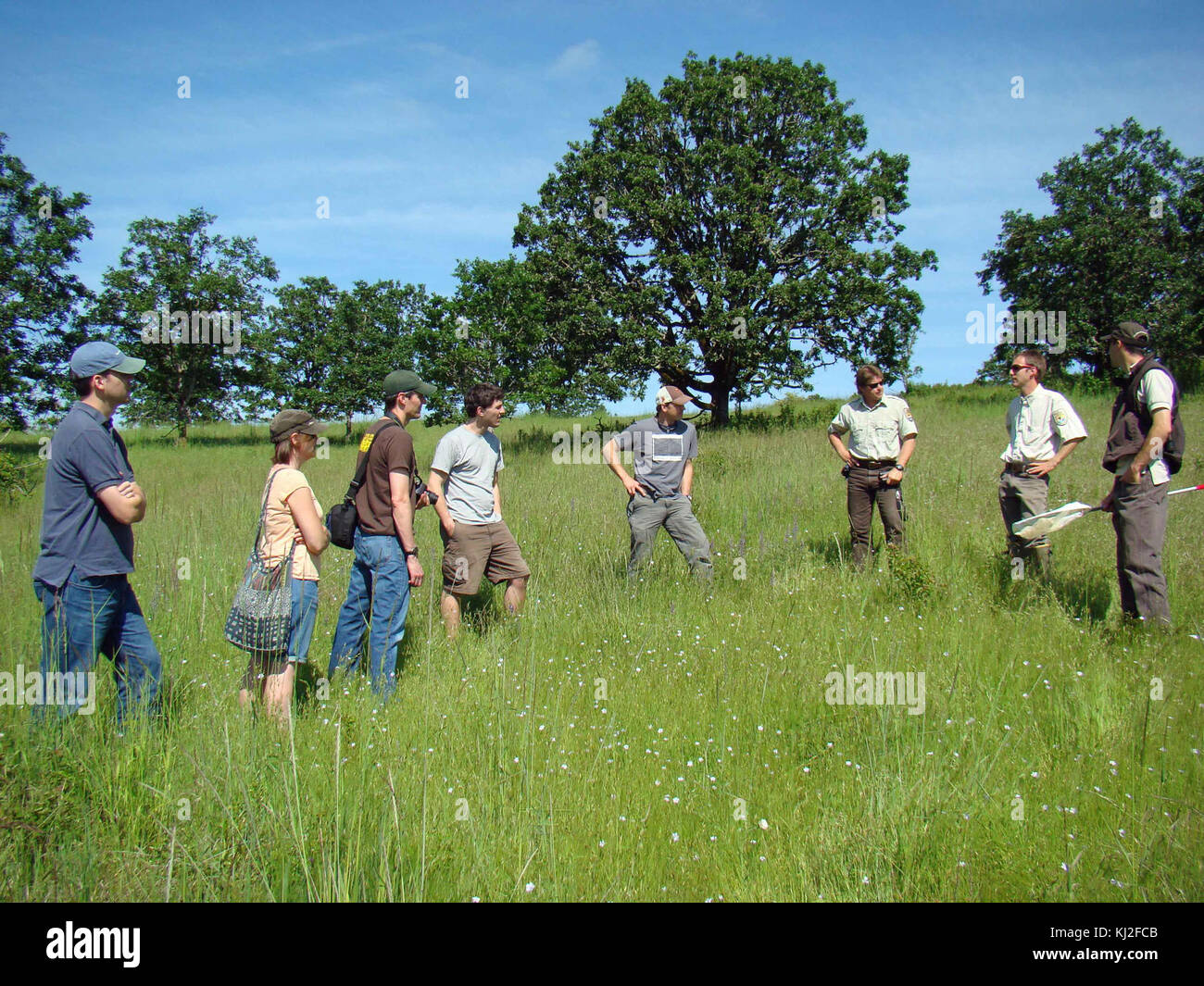 People in green fild grass Stock Photo - Alamy