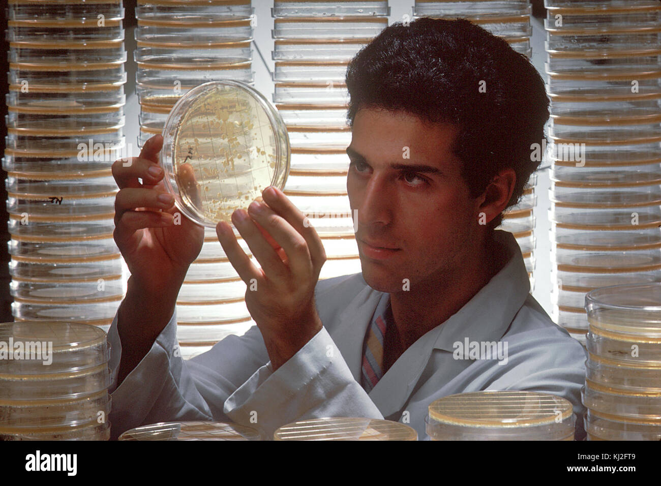 Agar plates hi-res stock photography and images - Alamy