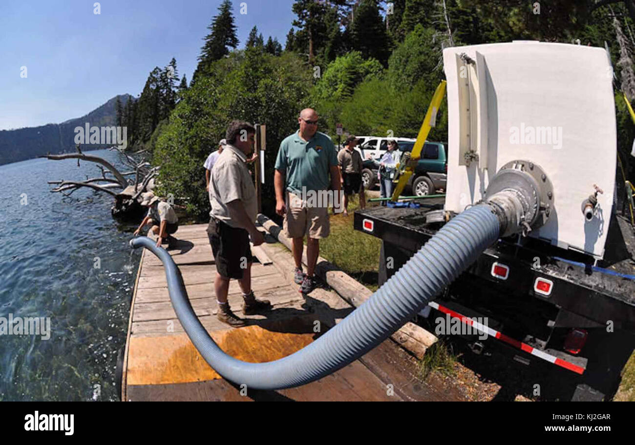 People working with cutthroat trout Stock Photo - Alamy