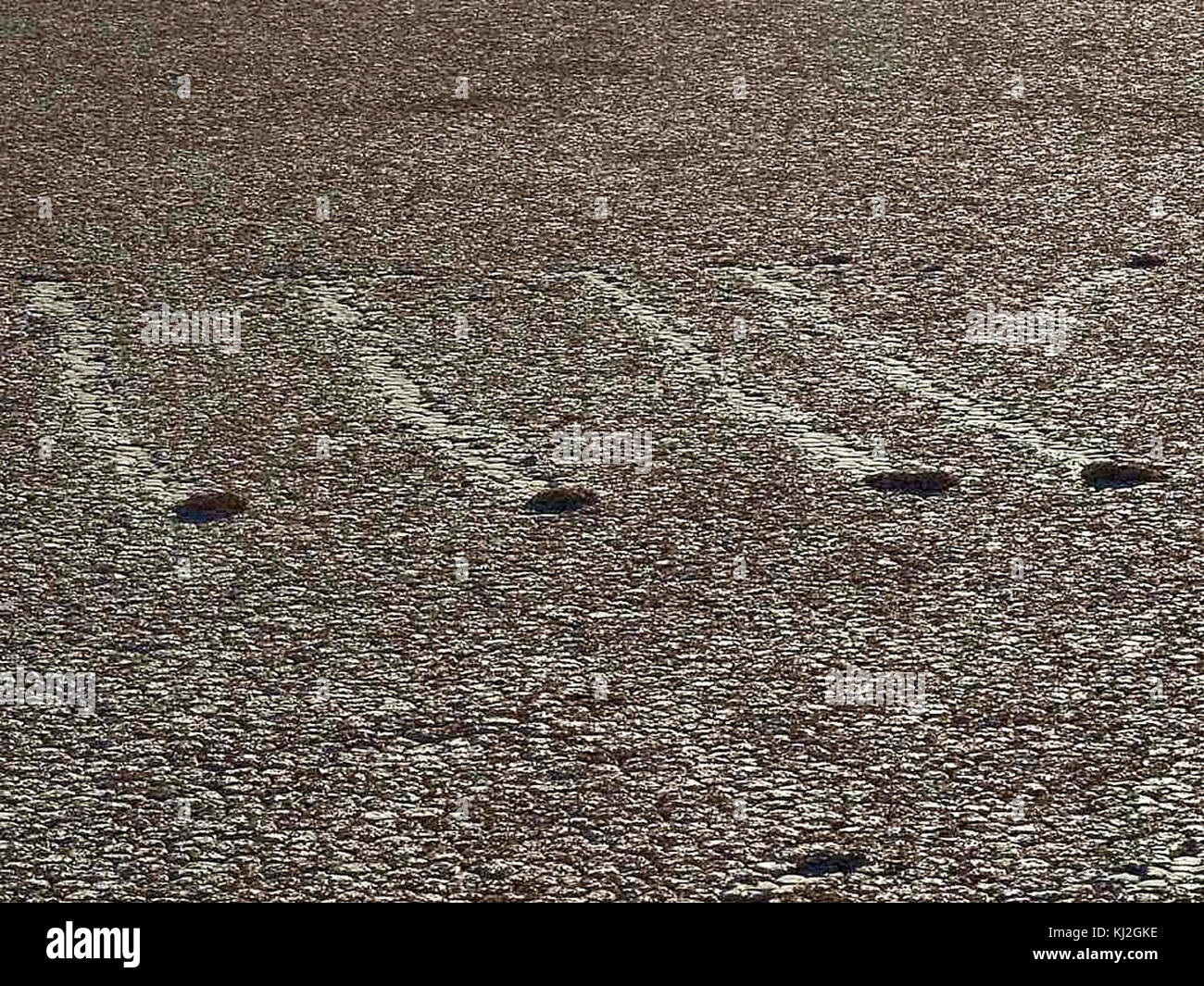 Four rocks on playa mud tracks Stock Photo - Alamy