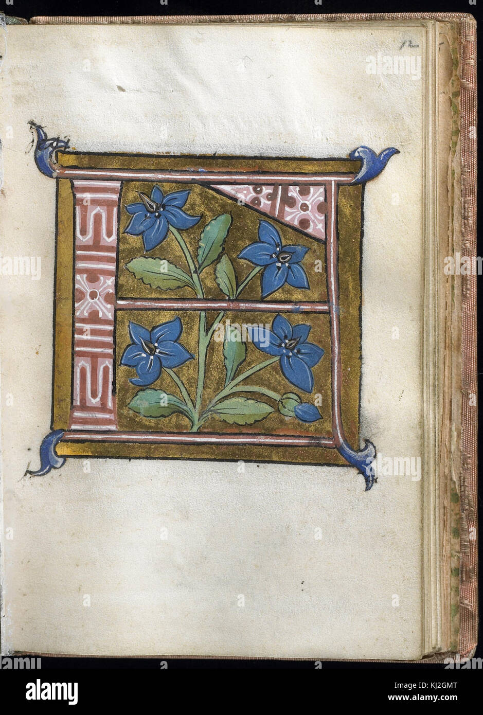 French - Leaf from Alphabet Book - Walters W20012R - Open Obverse Stock ...