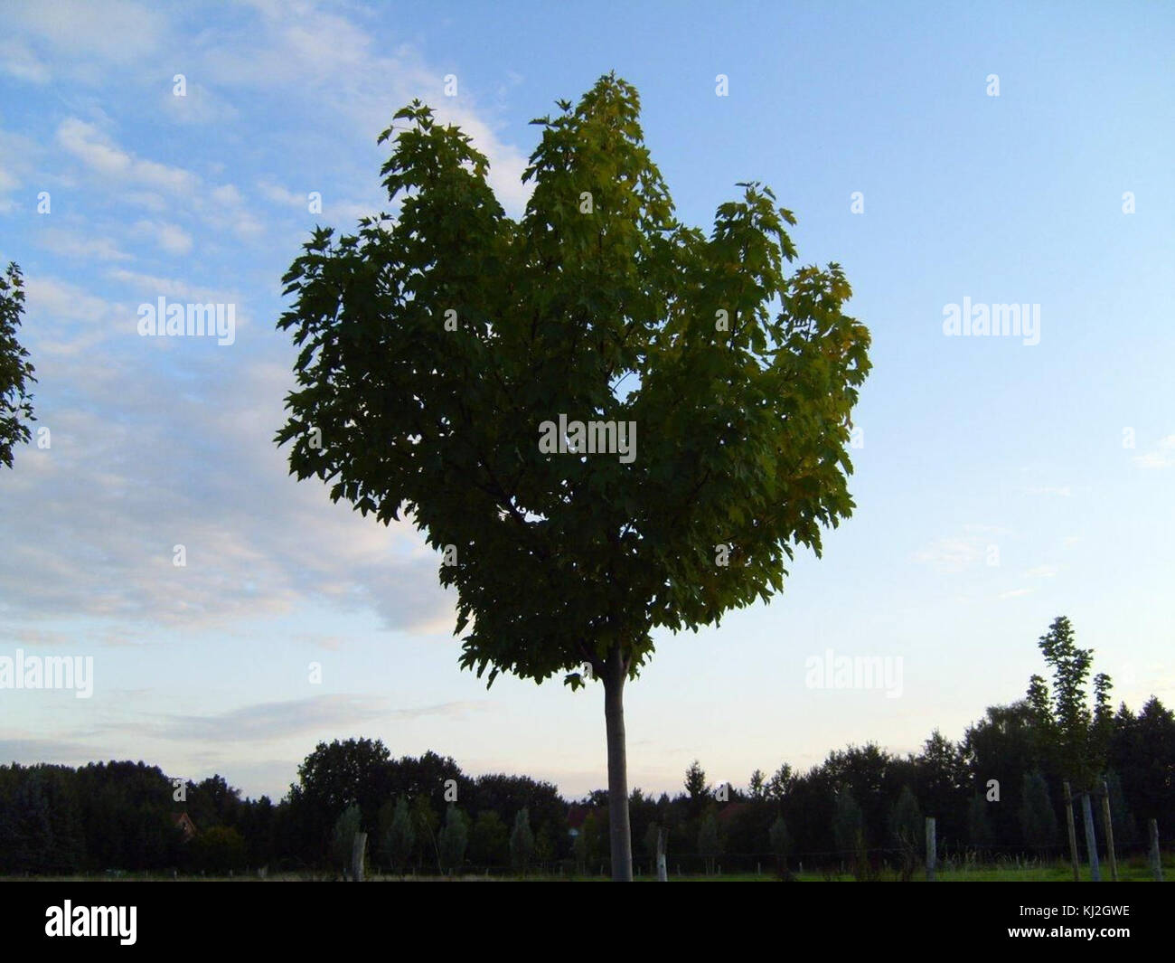 Texture detail patterns hi-res stock photography and images - Alamy