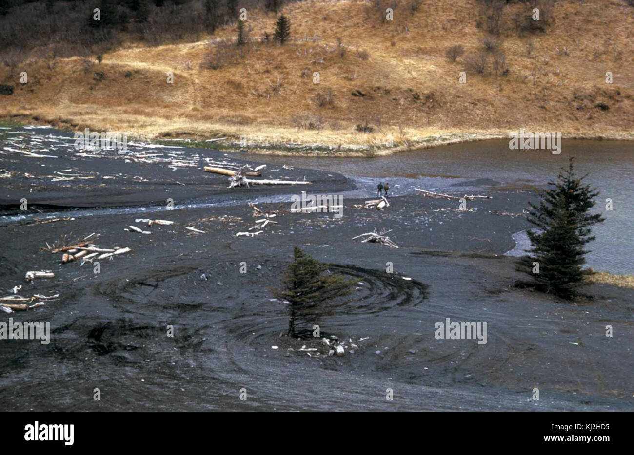 The Pillar River gravel site on Kodiak Island, Alaska, is an important ...