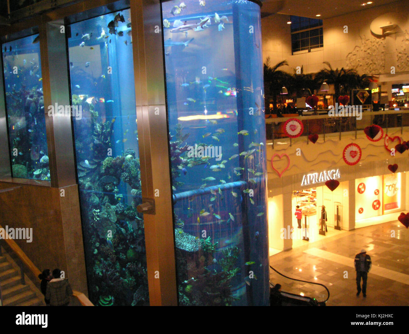 Kaunas, Mega aquarium Stock Photo - Alamy