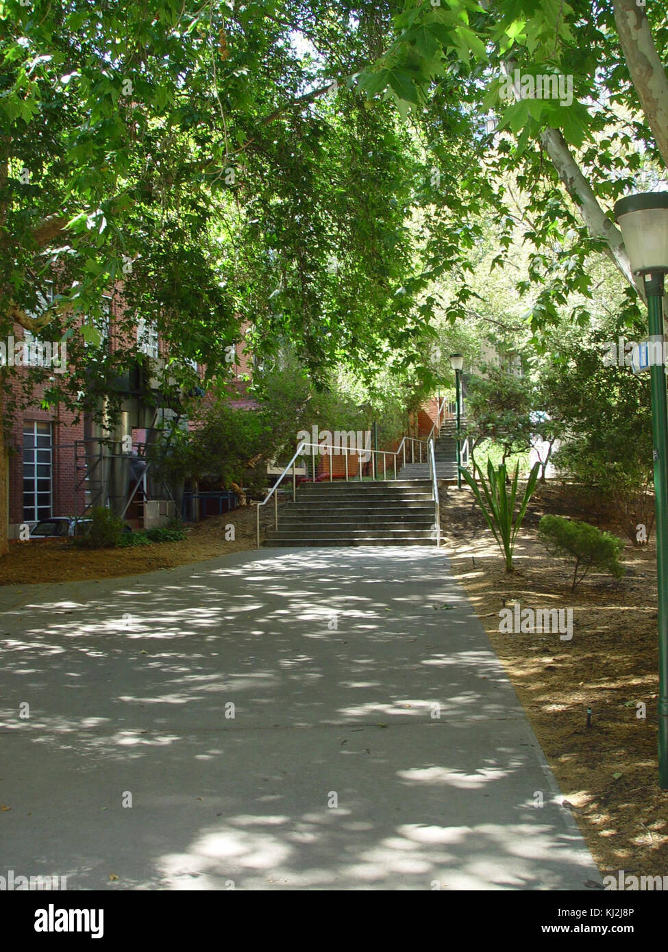Leafy walk road Stock Photo - Alamy