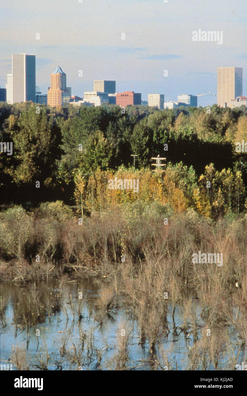 Portland Oregon skyline Stock Photo - Alamy