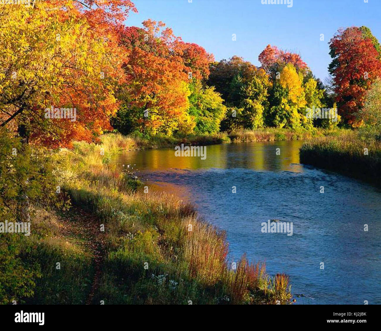 Indian frost hi-res stock photography and images - Alamy