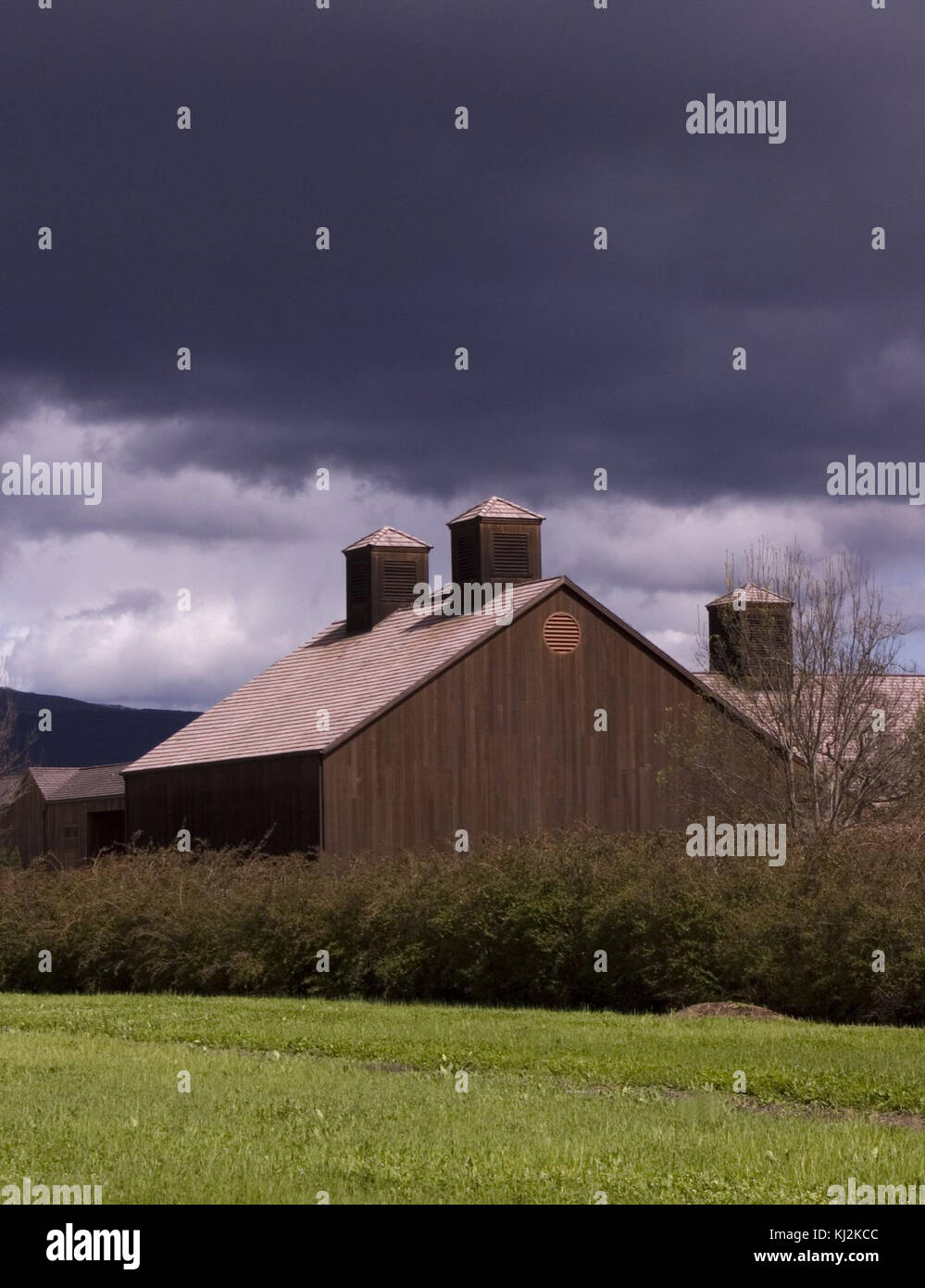 Heritage vineyard napa hi-res stock photography and images - Alamy