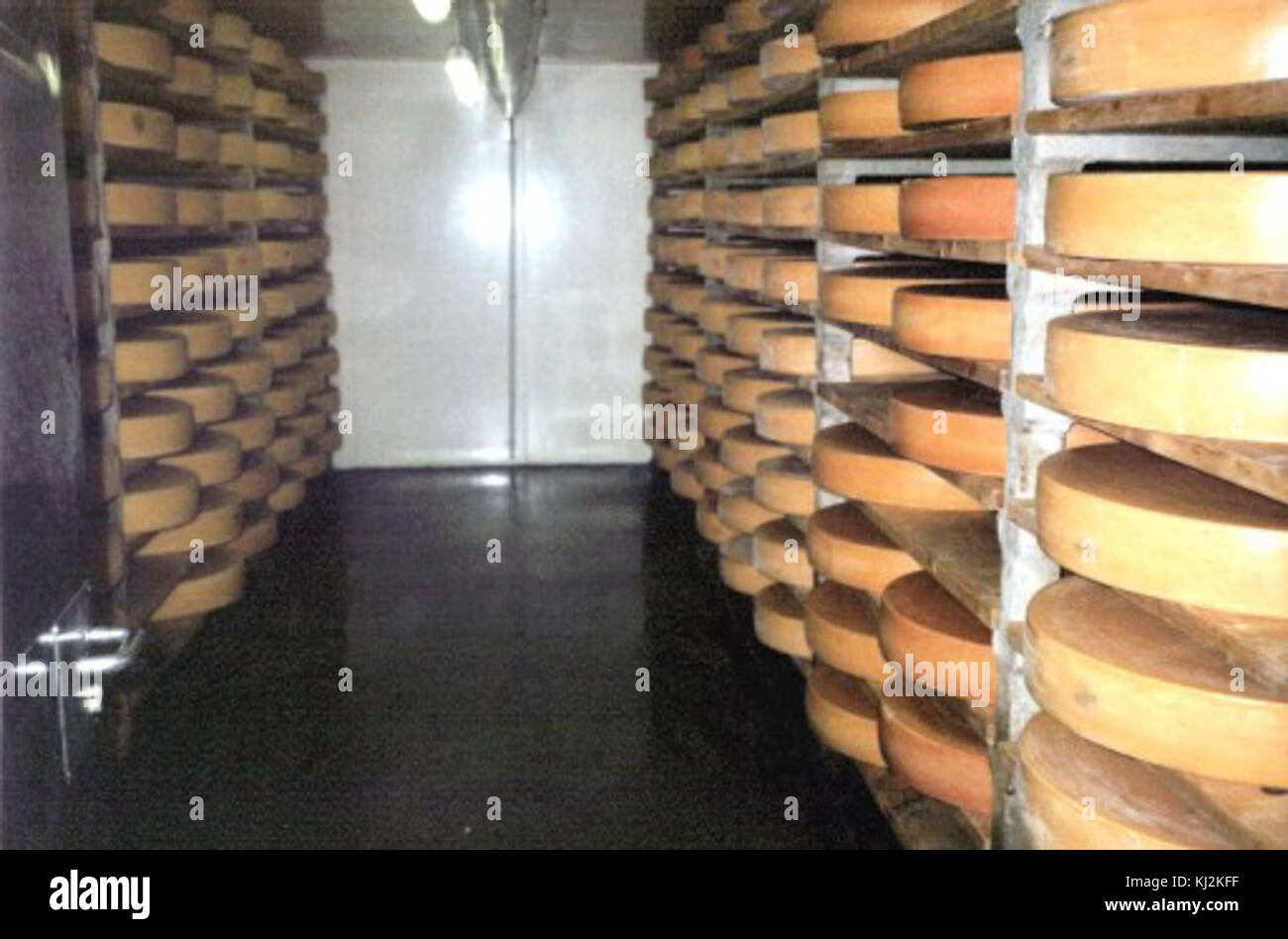 Swiss cheese cellar Stock Photo - Alamy