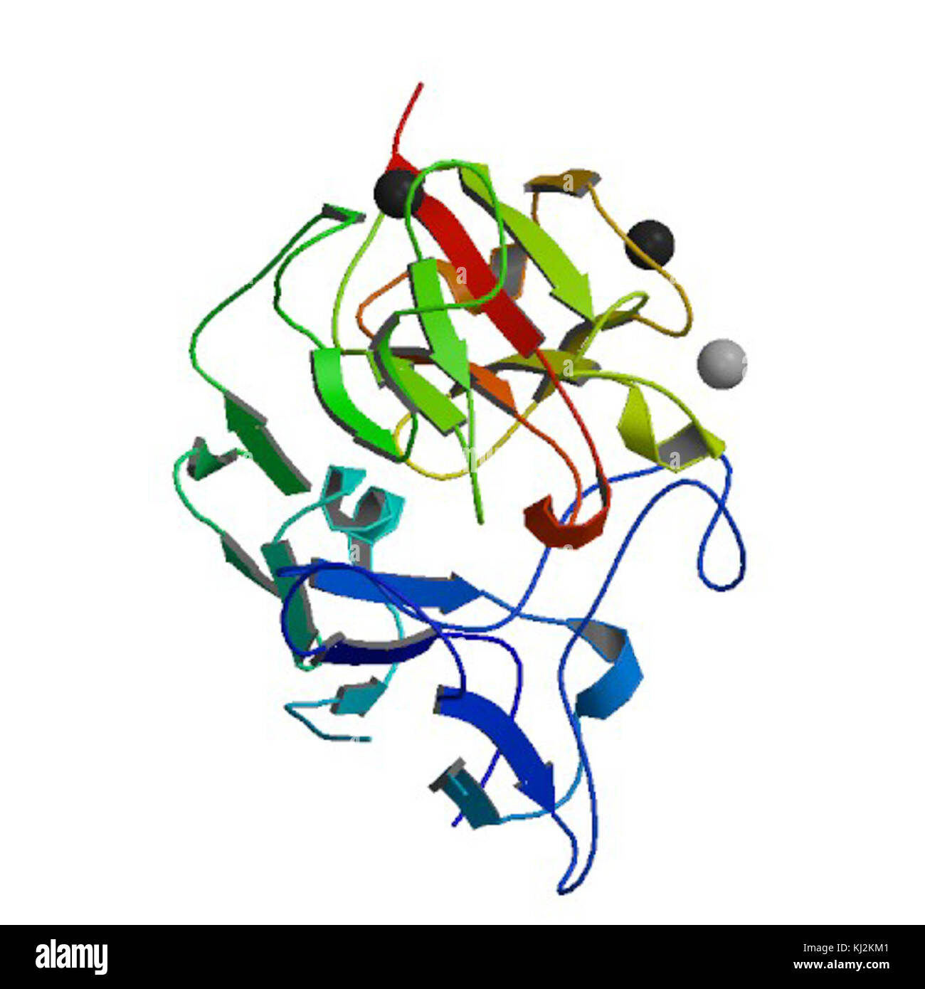 PDB 3rd repeat of Reelin protein Stock Photo - Alamy