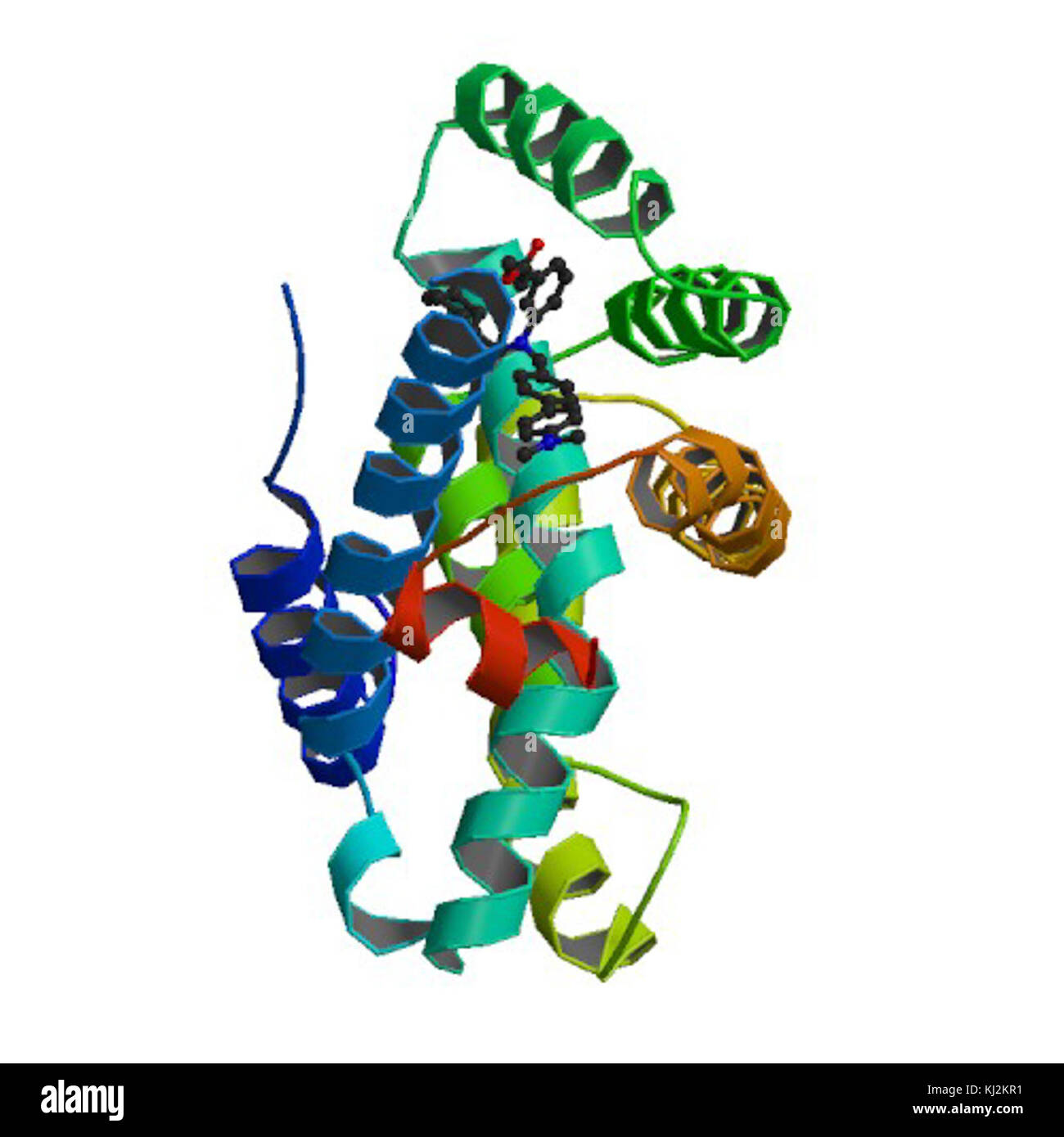 PBB Protein NR1H4 image Stock Photo - Alamy
