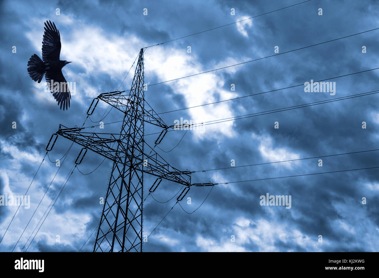 Electric pole with raven and dramatic sky. High-voltage pylon with ...