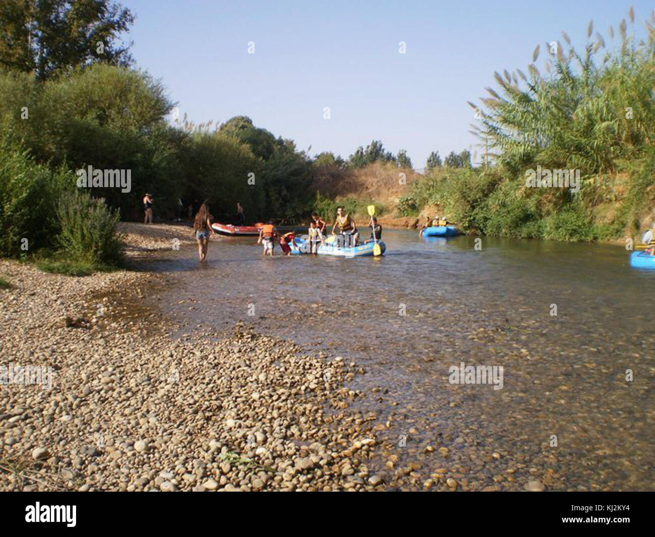 Israel 17306 Dan stream Stock Photo - Alamy