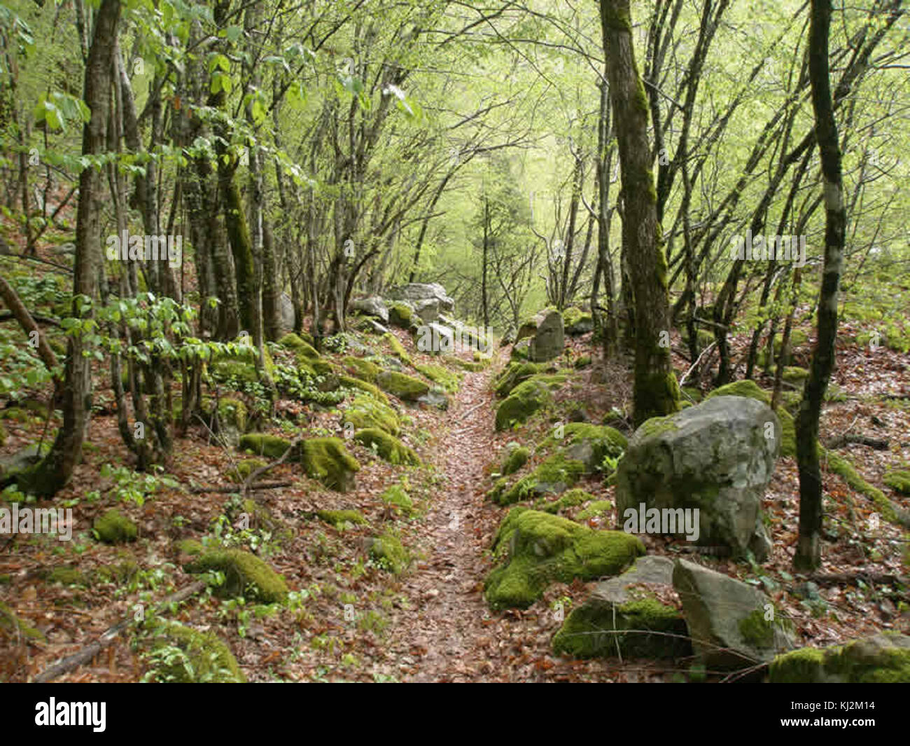 Paranesti hi-res stock photography and images - Alamy