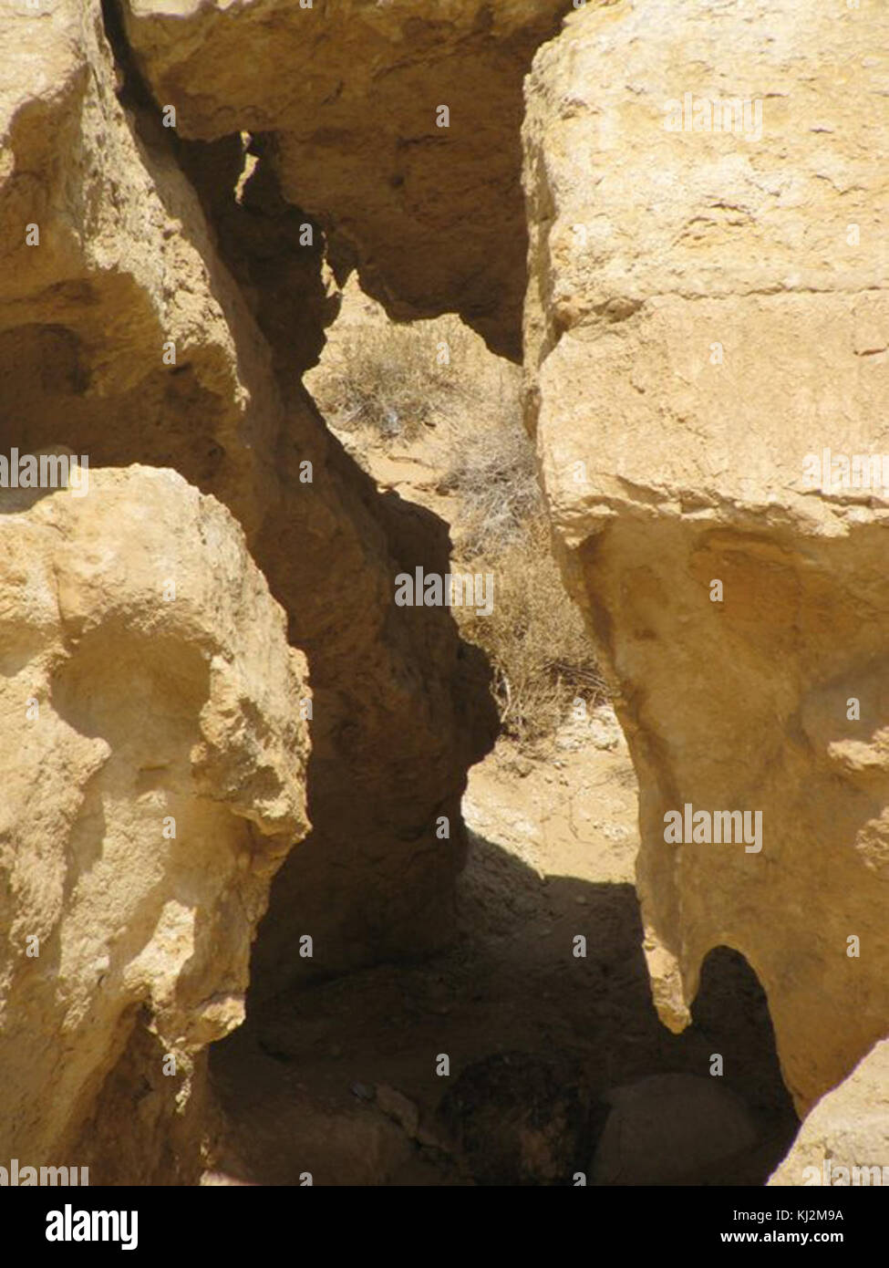 Ein akev hi-res stock photography and images - Alamy