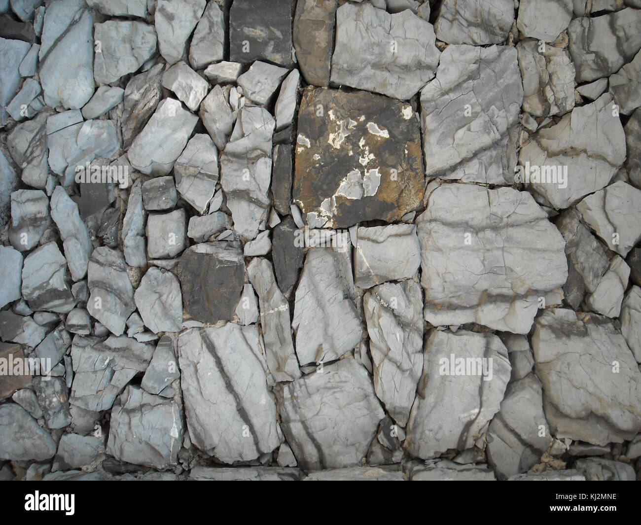 Texture features intricate pattern hi-res stock photography and images ...