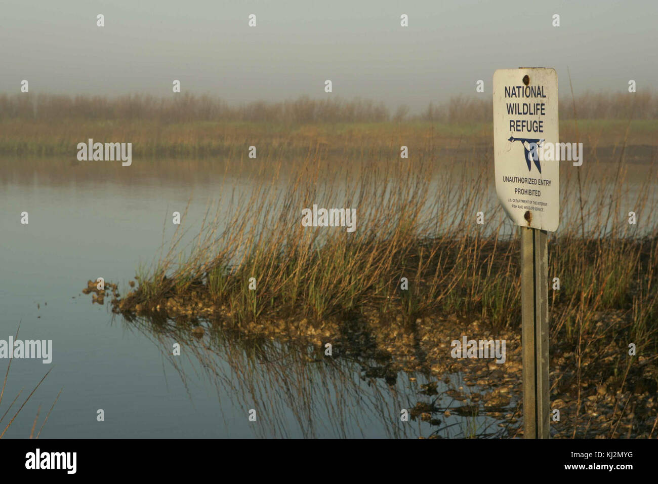 A reflection on the importance of refuge habitats in preserving ...