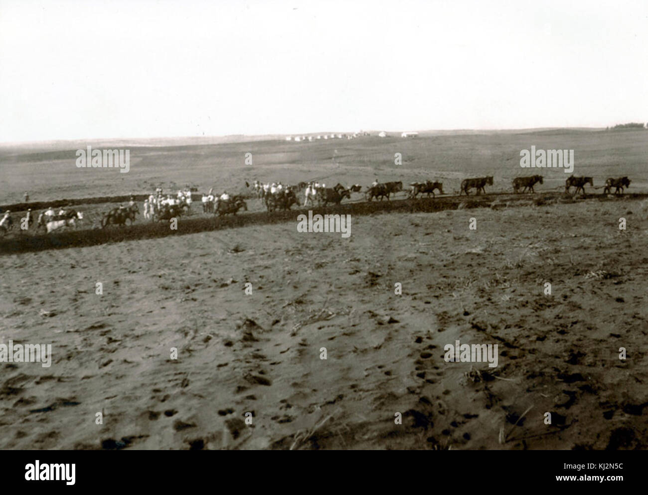 Hirut hi-res stock photography and images - Alamy