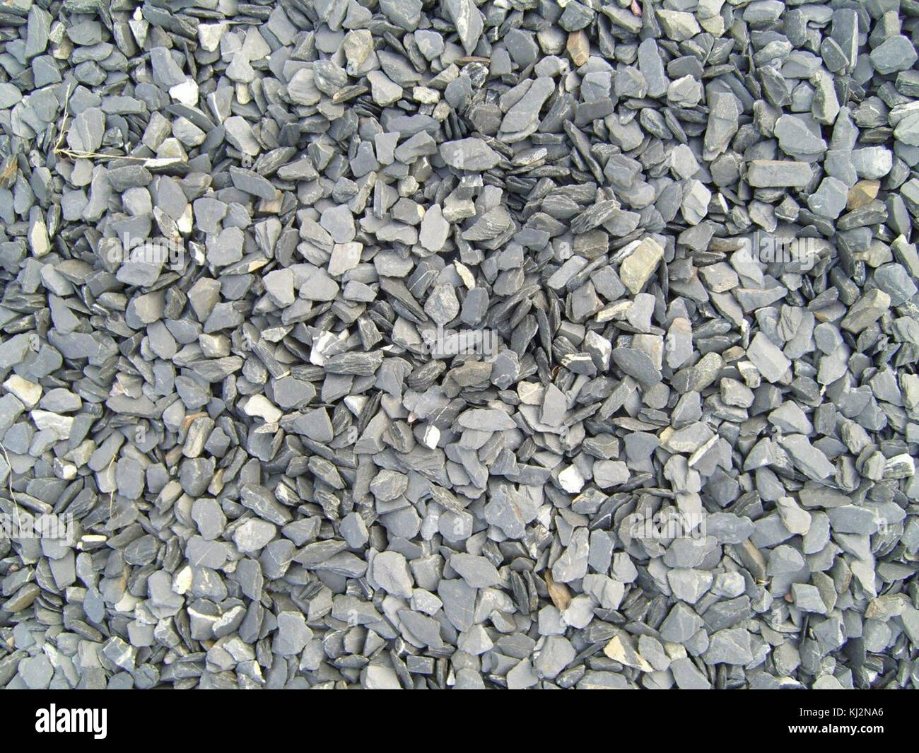 Collection focuses on study hi-res stock photography and images - Alamy