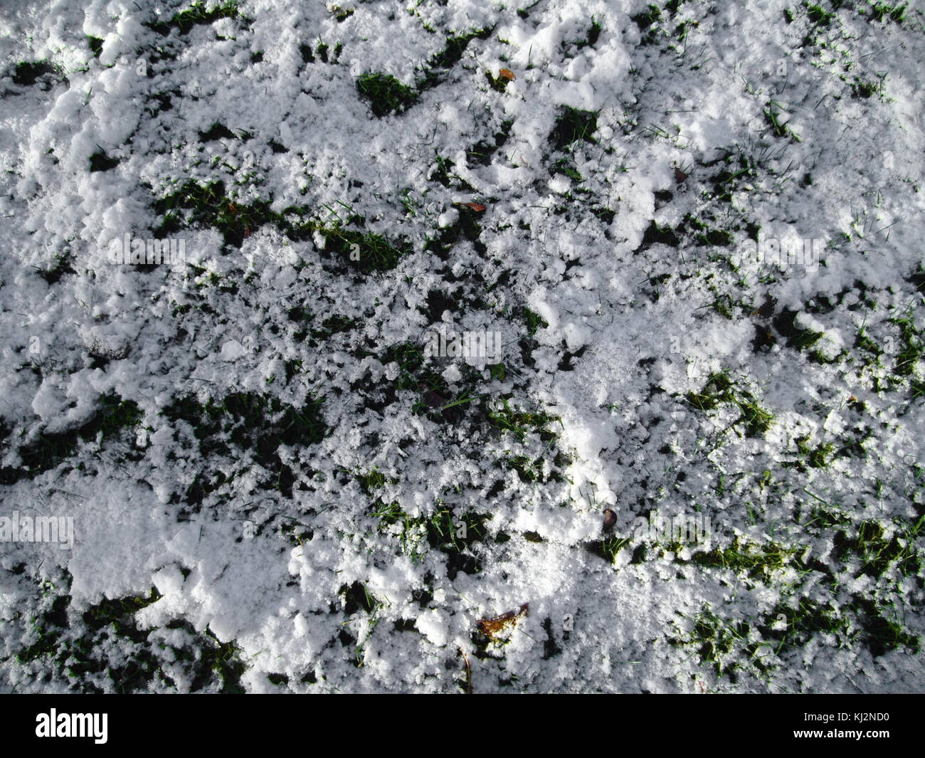 Snow icy grass ground Stock Photo - Alamy