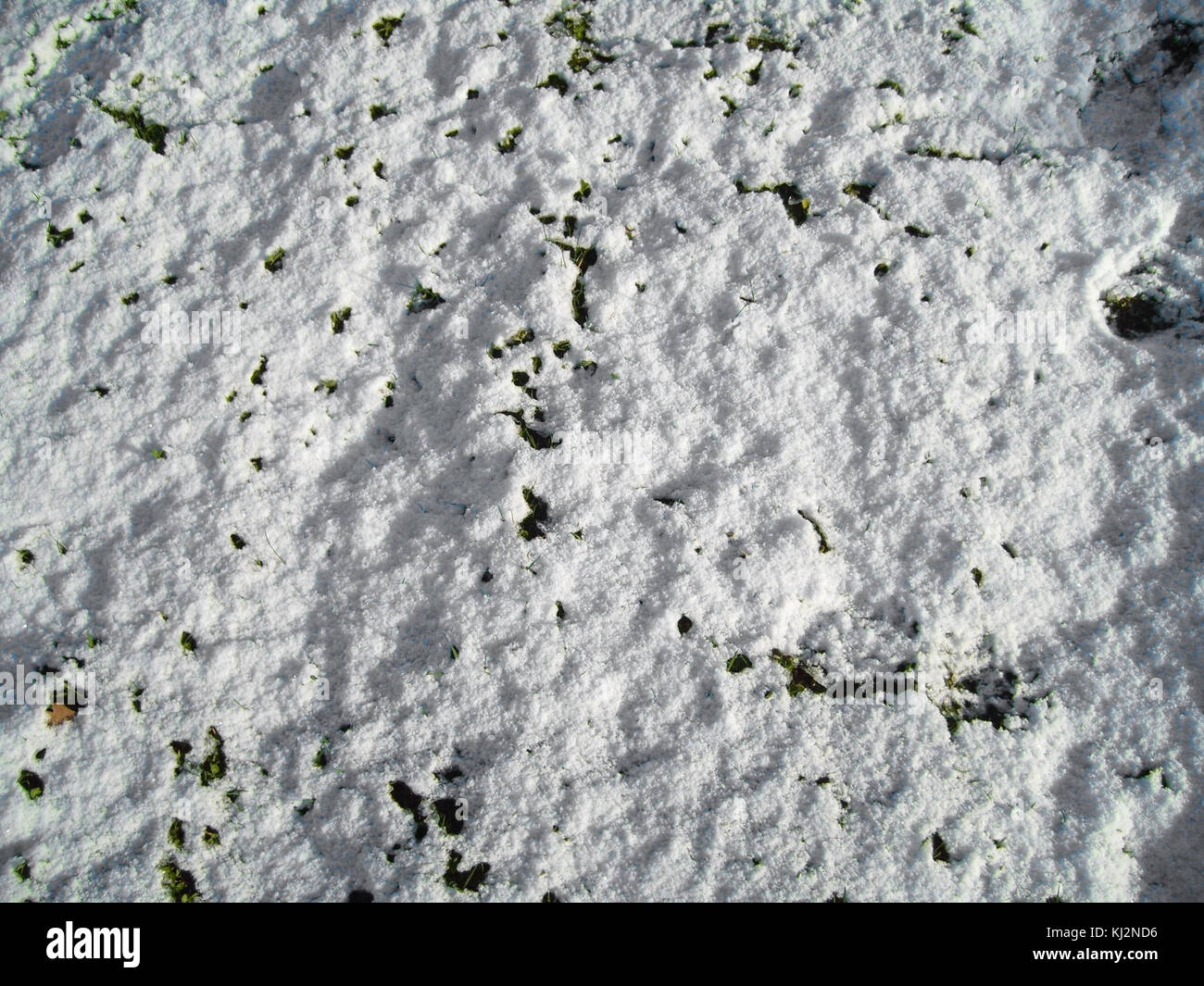 Snow grass ground high resolution Stock Photo - Alamy