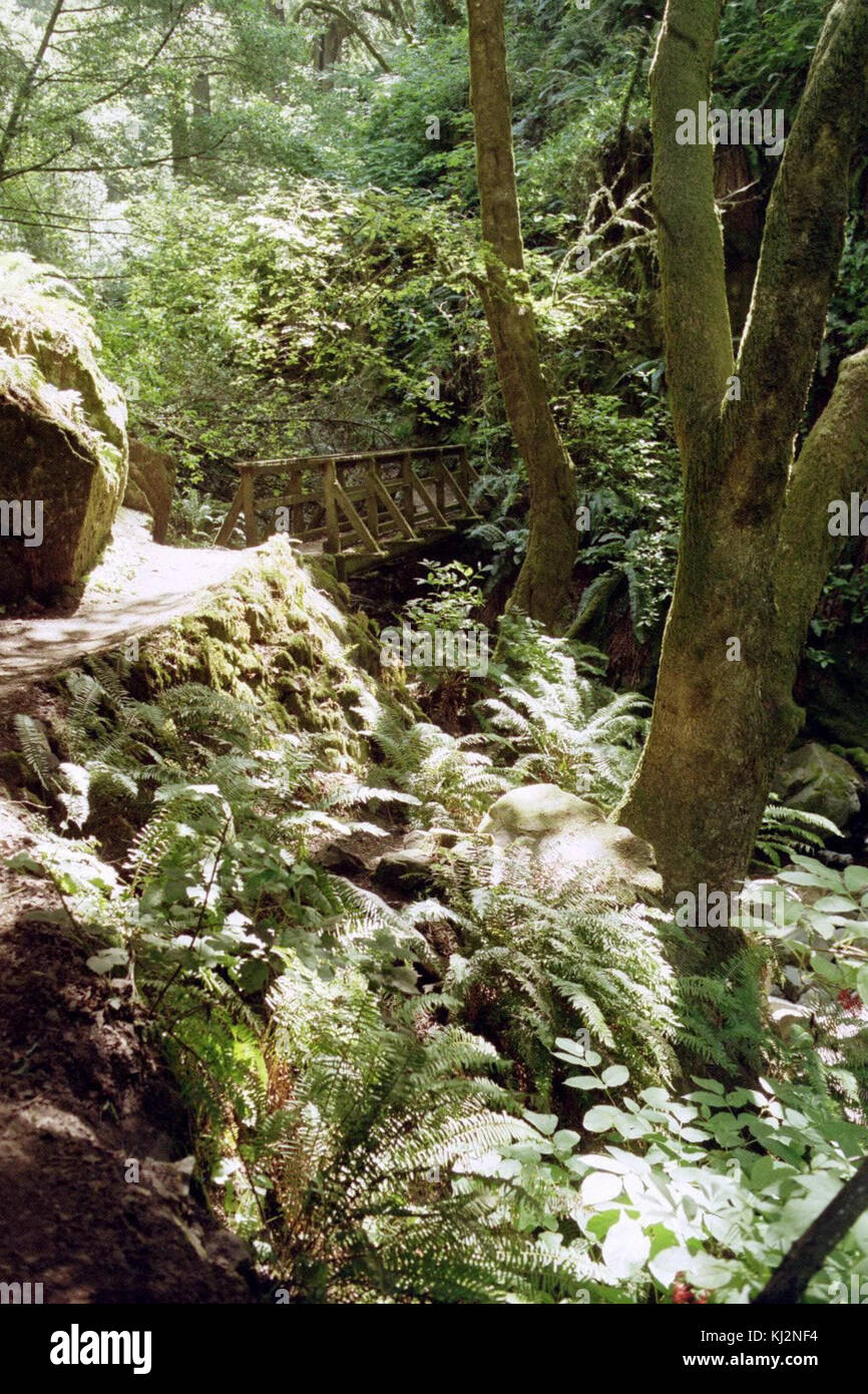 Steep ravine trail Stock Photo - Alamy