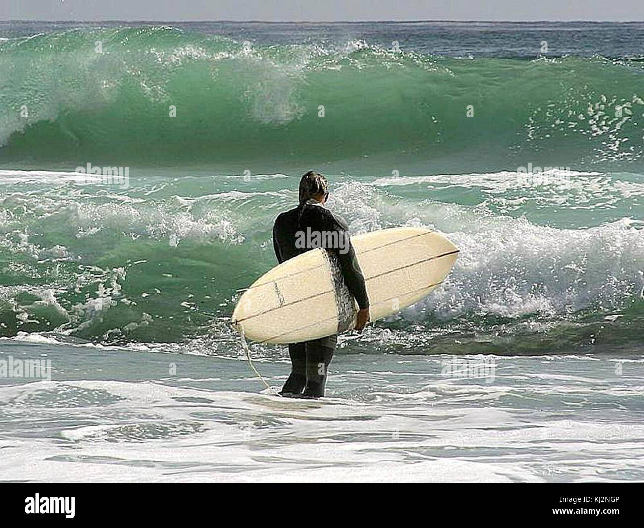 Surfers navigate large ocean waves using surfboards, showcasing skill ...