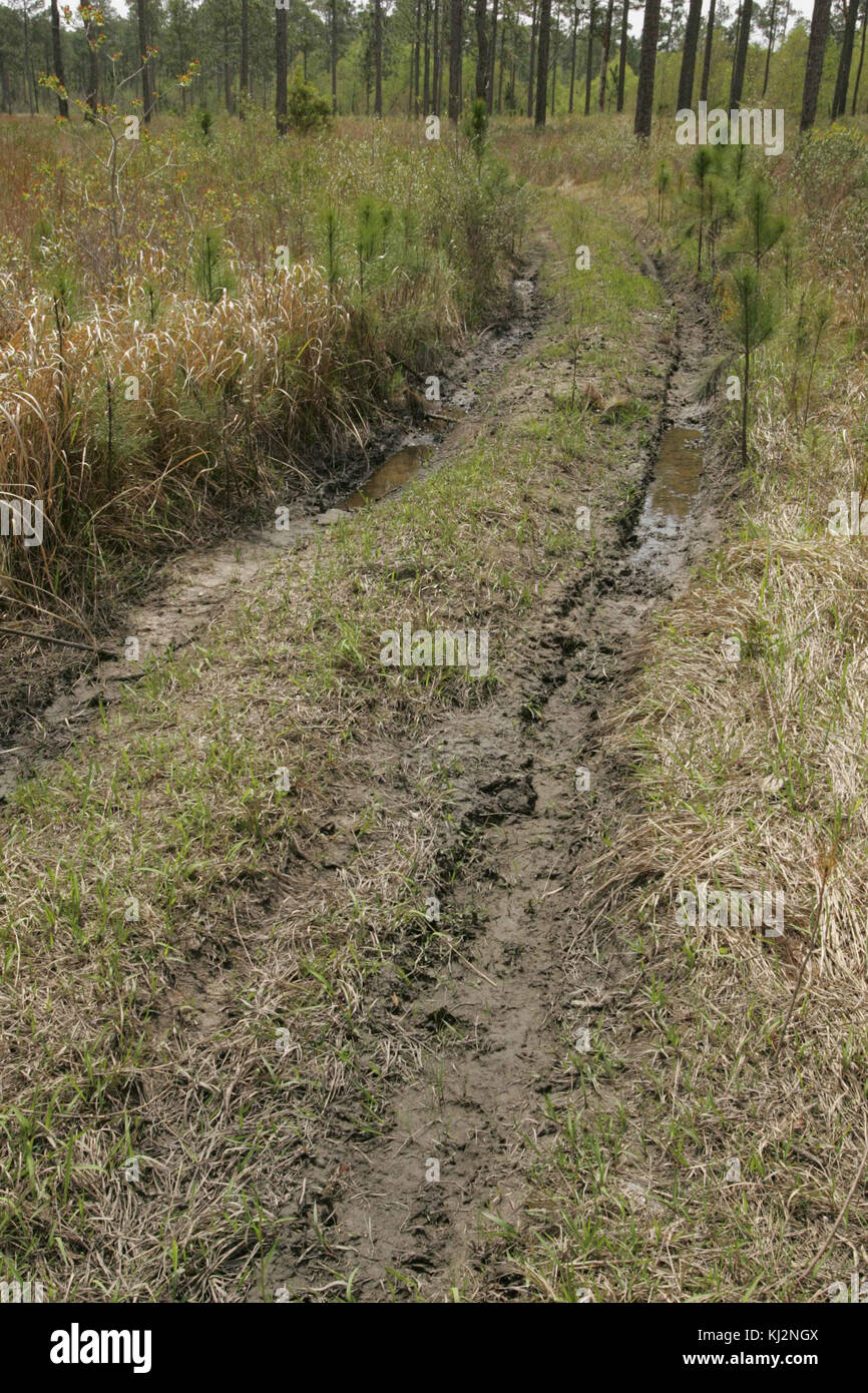 Damage to wildlife hi-res stock photography and images - Alamy