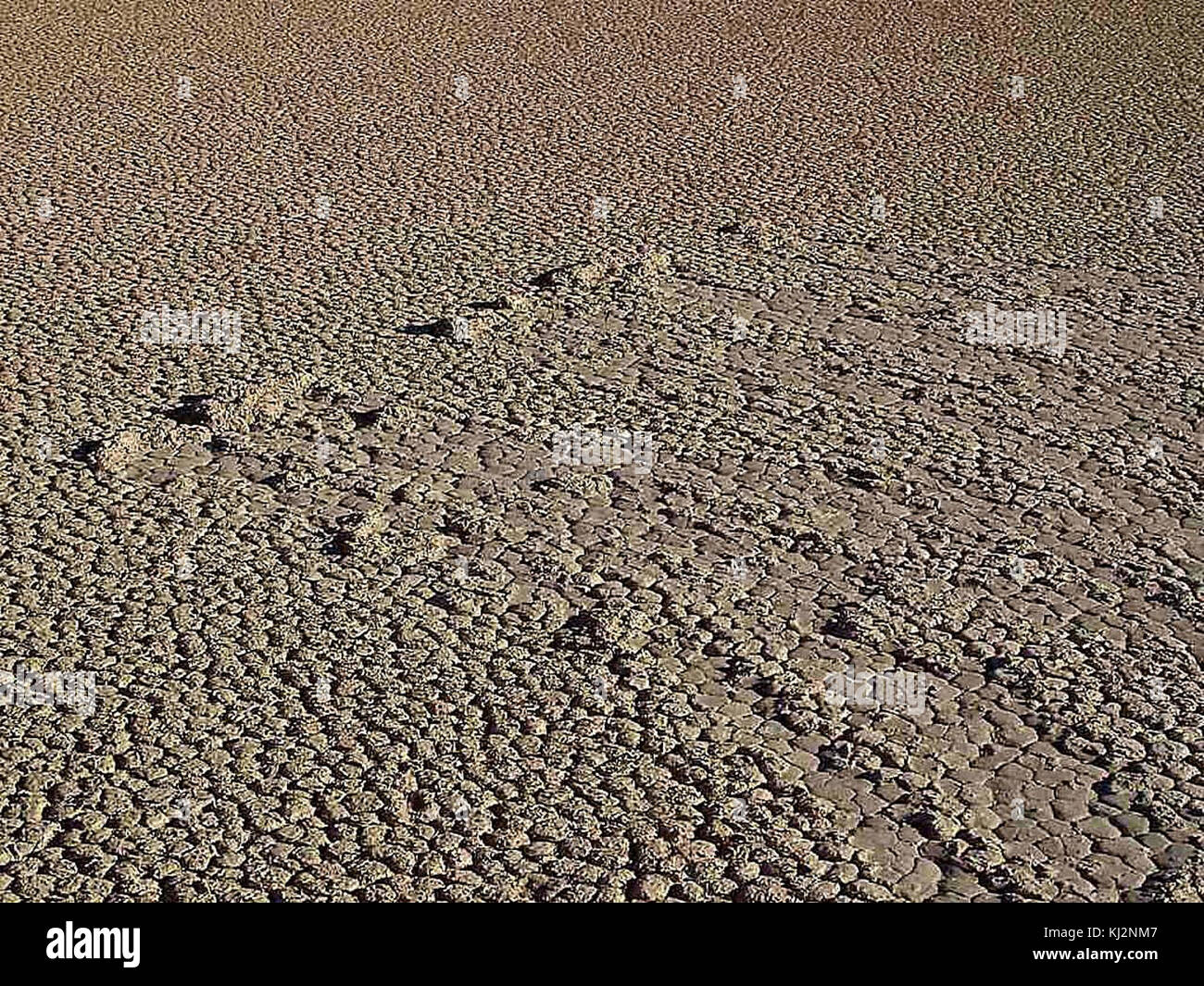 Rocks in mud tracks Stock Photo - Alamy